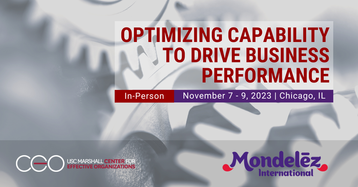 Optimizing Capability to Drive Business Performance - USC Center for ...