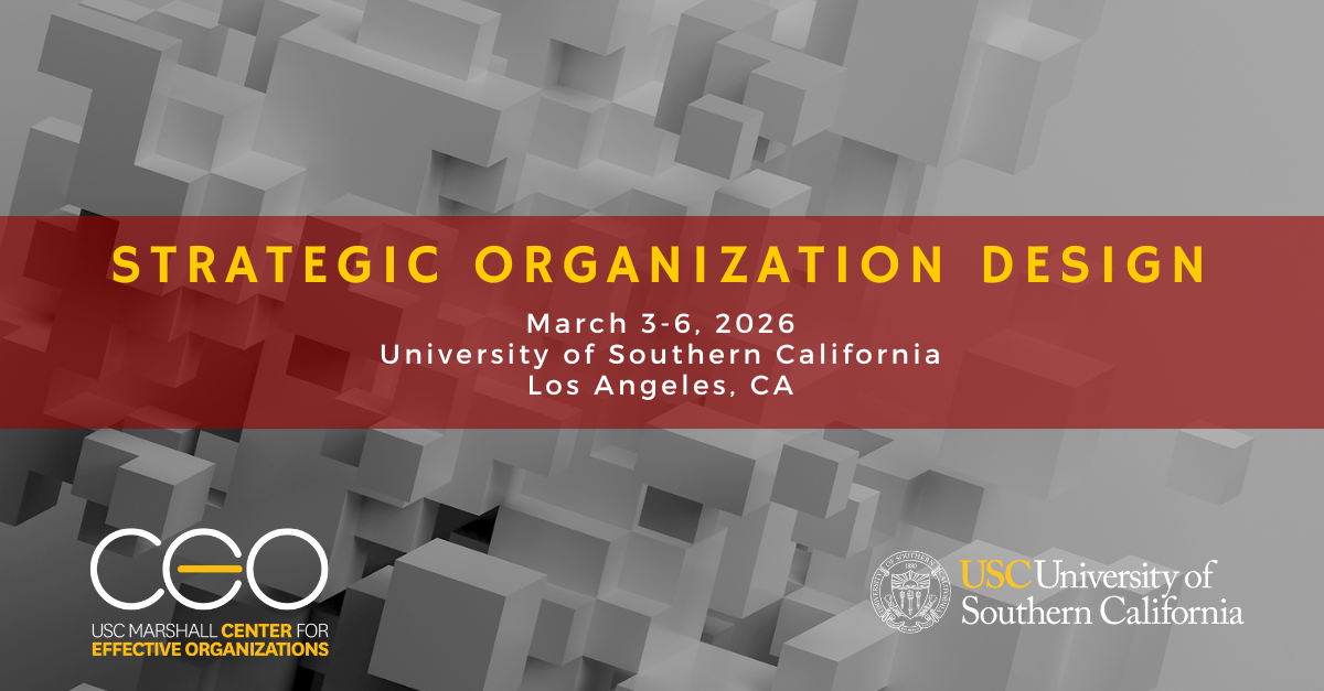 Strategic Organization Design Workshop - USC Center for Effective ...